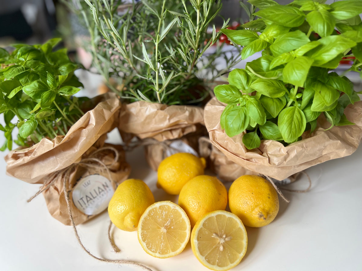 READY CATERING PACKS – I Eat Italian North London